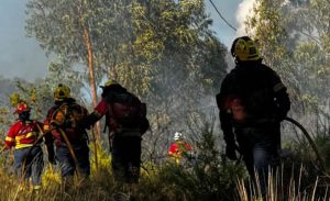 Incêndio de Ponte da Barca já se estende para lá do Alto Minho - Rádio ...